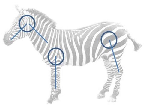 Drawing Tips for Painters | Online Art Lessons