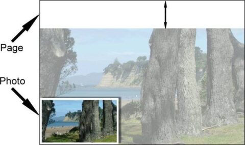 Grid Drawing Tutorial | Online Art Lessons