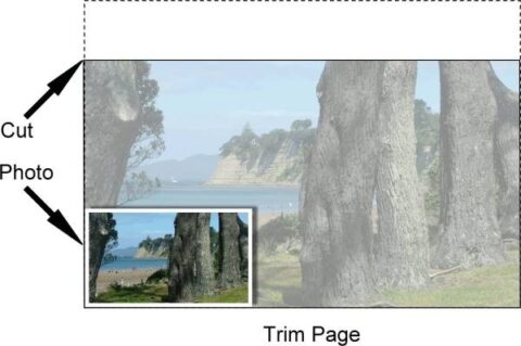 Grid Drawing Tutorial | Online Art Lessons