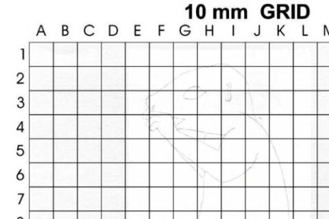 Grid Drawing Tutorial | Online Art Lessons