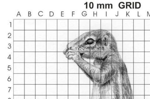 Grid Drawing Tutorial | Online Art Lessons