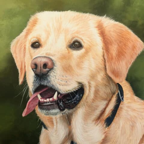 How to Paint Dogs | Online Art Lessons