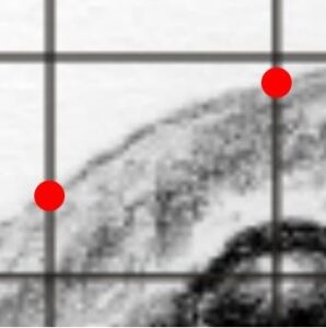 Grid Drawing Tutorial | Online Art Lessons