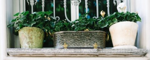 How to Compose a Still Life | Online Art Lessons