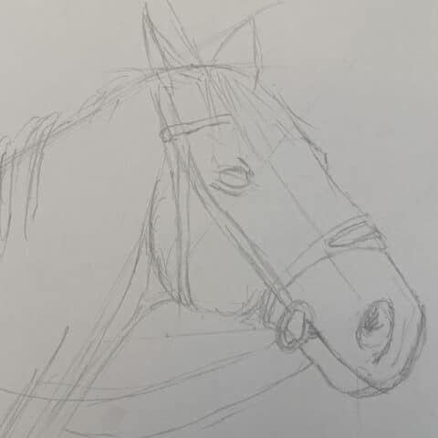 Sketching Basics | Online Art Lessons