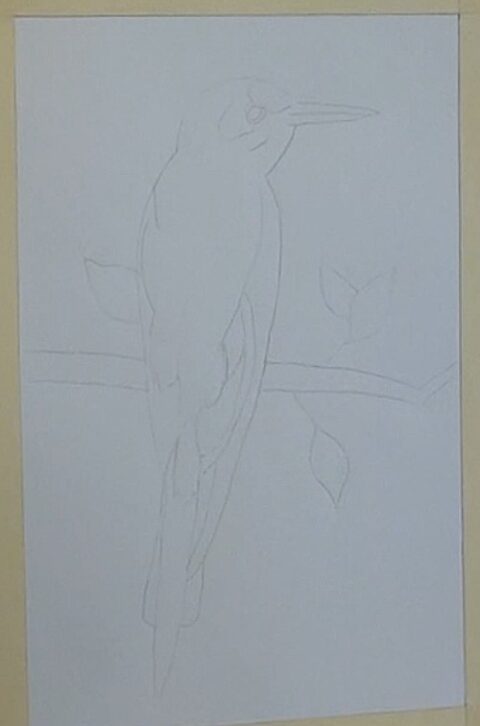 How to Draw a European Bee-Eater in Pastel | Online Art Lessons