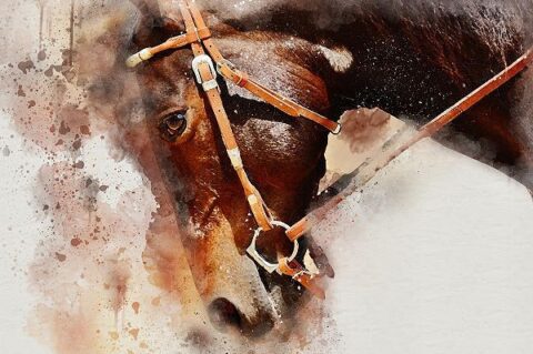 Monochrome Artwork Basics | Online Art Lessons