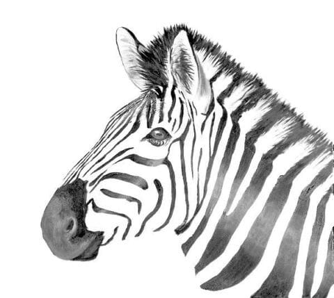 Monochrome Artwork Basics | Online Art Lessons