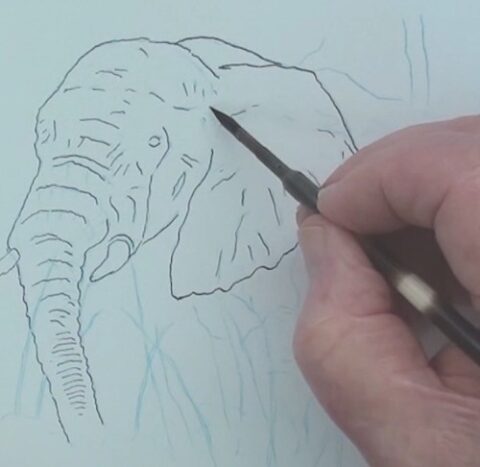 How to Draw an Elephant in Pen and Ink | Online Art Lessons