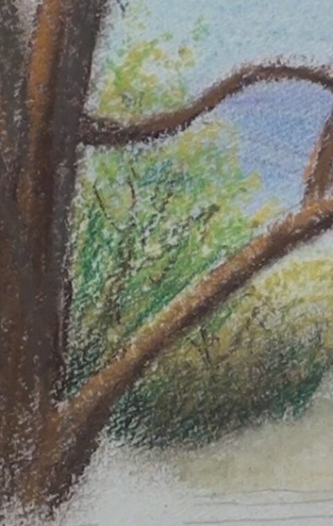 How to Draw a Small Stream in Pastel | Online Art Lessons