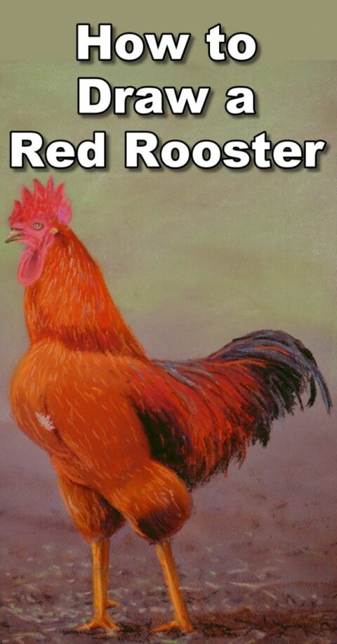 How to Draw a Red Rooster in Pastel | Online Art Lessons