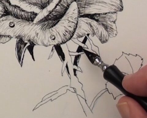 How to Draw a Rose in Pen and Ink | Online Art Lessons