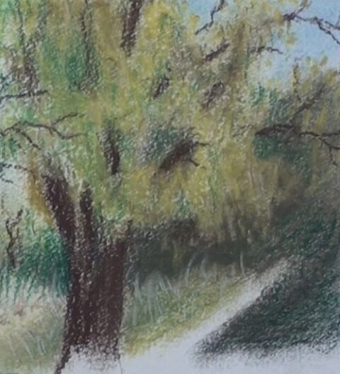 How to Draw a Small Stream in Pastel | Online Art Lessons