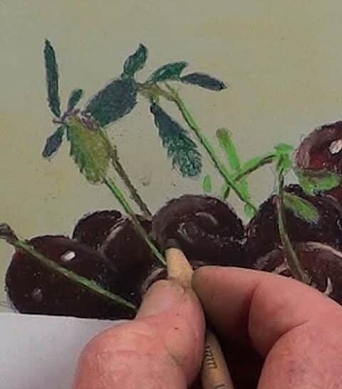 How to Draw Still Life with Fruit in Pastel | Online Art Lessons