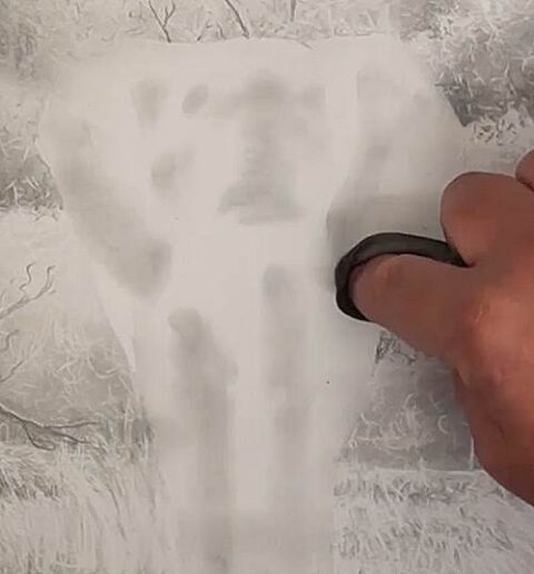 How to Draw an Elephant | Online Art Lessons