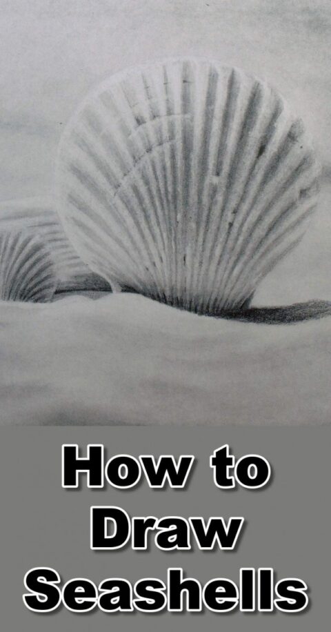 How to Draw Seashells | Online Art Lessons