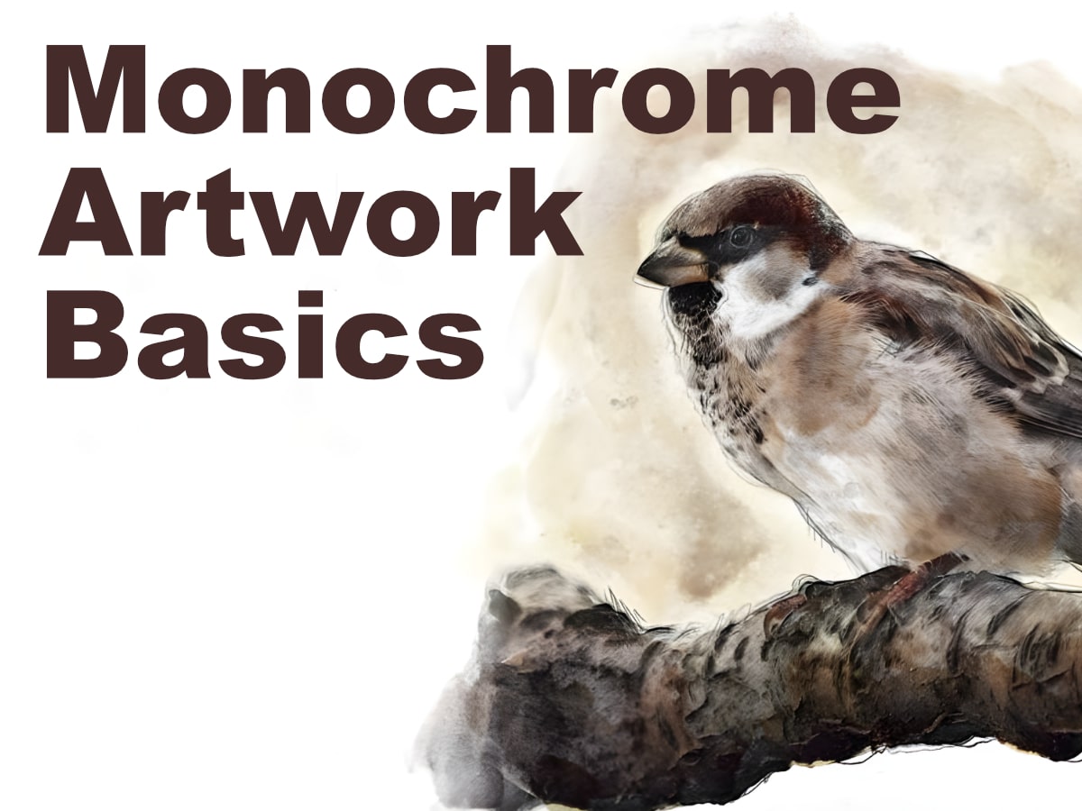Monochrome Artwork Basics | Online Art Lessons