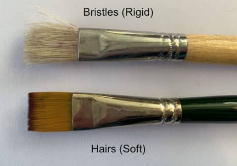 Ultimate Oil & Acrylic Paint Brush Guide | Online Art Lessons